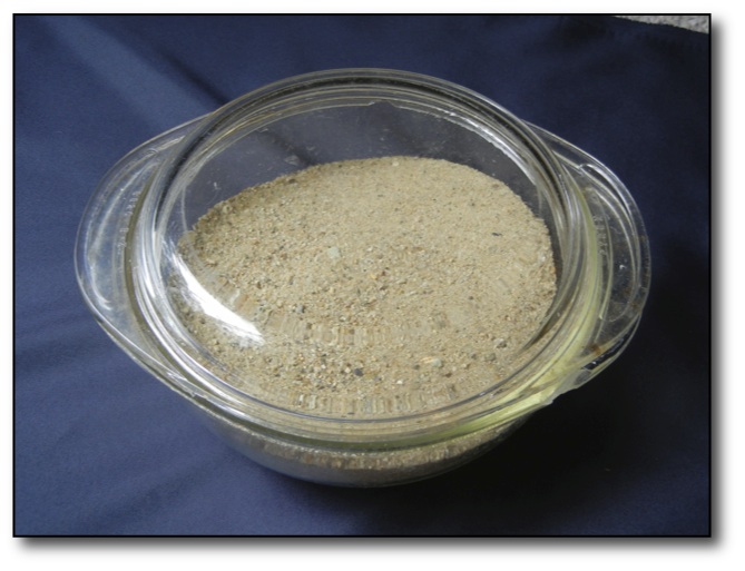 How to build a termite farm | MICROBES AND MORE